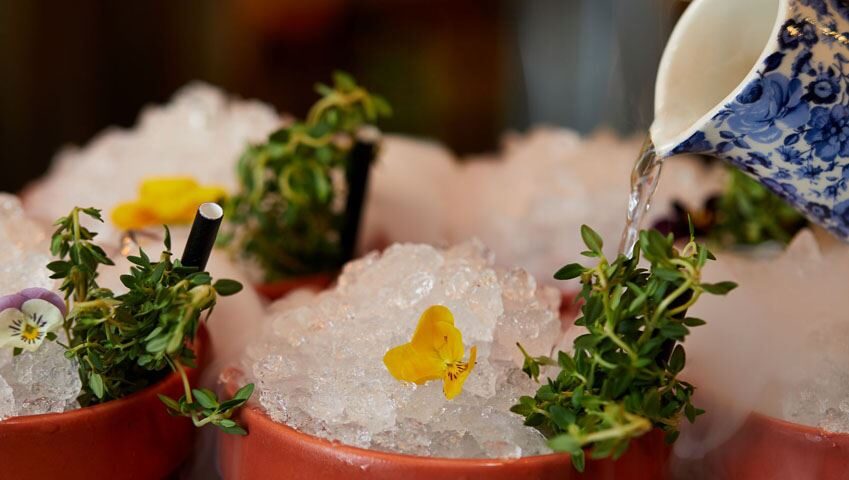 The Botanist • Pubs & Bars • Visit Cardiff