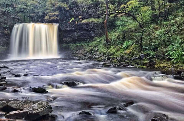 What's On in Cardiff • Cardiff Events & Top Cardiff Entertainment ...